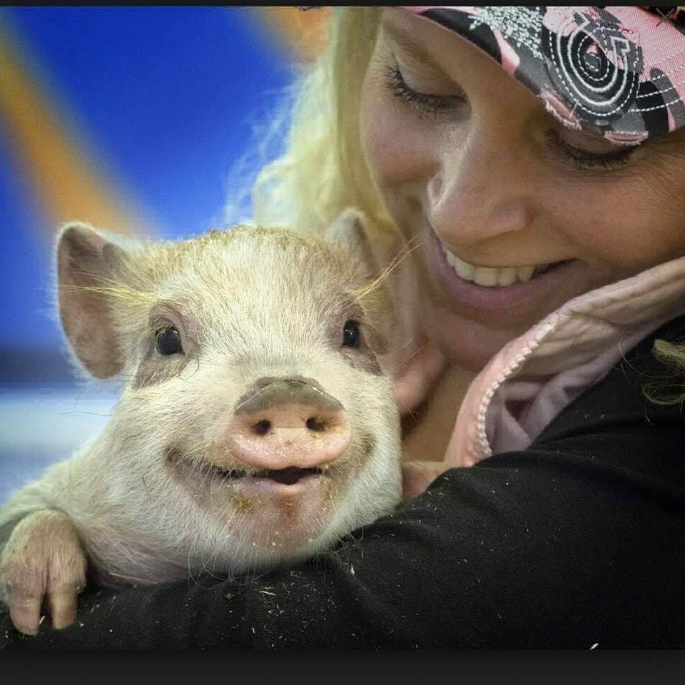 Debbie Dolittle's - Indoor Petting Zoo
