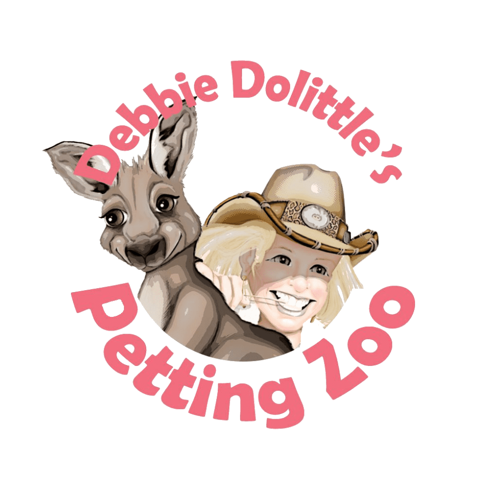 Debbie Dolittle's Indoor Petting Zoo | Indoor Arcade